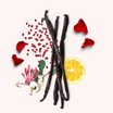 Alloura Pheromone Perfume